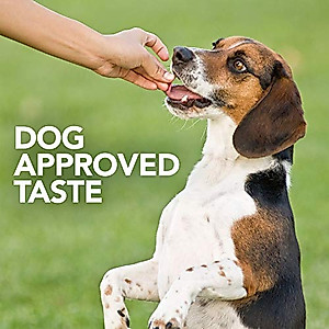 Vet's Best Probiotic Soft Chews Dog Supplements, 30 Day Supply