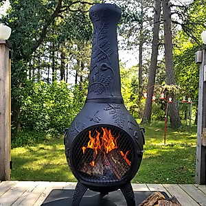 The Blue Rooster Dragonfly Cast Aluminum Chiminea in Charcoal
