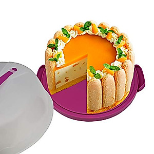 Portable Round Cake Carrier with Handle Pie Saver Cupcake Container Up to 10 Inch Translucent Dome for Transporting Cakes, Cupcakes, Cookies, Pies, or Other Desserts (Purple)