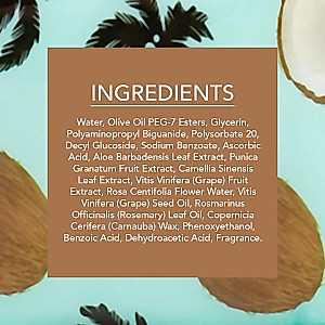 B.C. Beauty Concepts Makeup Remover Wipes – Gentle Facial Wipes for Easy Makeup Removal, 100 Count (Pack of 2), Coconut with Aloe & Vitamin C