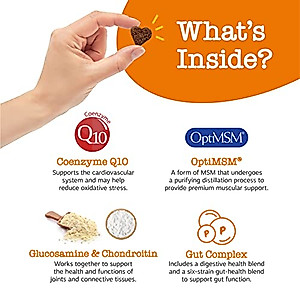 Multifunctional Supplements for Dogs - Glucosamine Chondroitin for Joint Support with Probiotics for Gut & Immune Health – Omega Fish Oil with Antioxidants and Vitamins for Skin & Heart Health