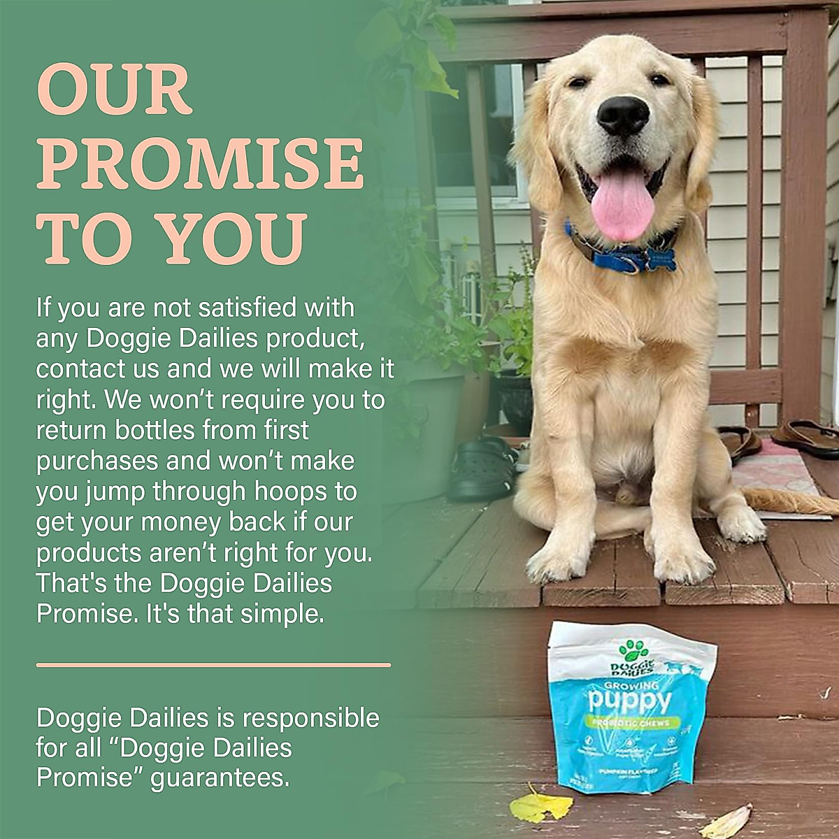 Doggie Dailies Puppy Probiotic | Probiotics for Puppies with Digestive Enzymes, Promotes Digestive Health, Supports Immune System & Overall Development | 120 Soft Chews