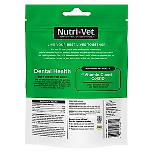 Nutri-Vet Dental Health Soft Chews for Dogs | Helps Control Plaque and Tartar Buildup | Natural Hickory Smoke Flavor | 70 Count