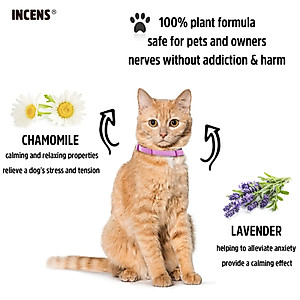 INCENS Calming Collar for Cats, Cat Calming Collar Anxiety Relief Adjustable,Essential Oil Collar with 45 Days for Kitten Medium Large Cats purple-1Pcs