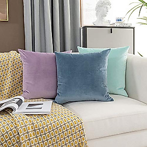 Jeneoo Comfy Soft Velvet Throw Pillow Covers for Sofa Couch, Decorative Solid Square Cushion Cases for Bedroom Car (Dusty Rose, 16 x 16 Inches, 2 Pieces)