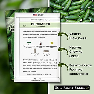 Sow Right Seeds - Beit Alpha Cucumber Seeds for Planting - Non-GMO Heirloom Seeds with Instructions to Plant and Grow a Home Vegetable Garden, Great Gardening Gift (1)