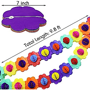 2pcs 9 Feet Rainbow Honeycomb Paper Garland Flower Banner,Mexican Paper Garland Hibiscus Garland,Large Tropical Tissue Paper Flowers for Luau Party Hawaiian Fiesta Handcrafted Hanging Decorations