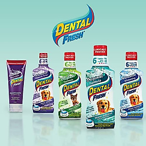 Dental Fresh Water Additive for Dogs, Original Formula, 17oz – Dog Breath Freshener and Dog Teeth Cleaning for Dog Dental Care– Add to Water