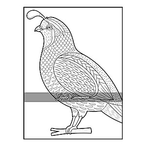 100 Animals: An Adult Coloring Book with Lions, Elephants, Owls, Horses, Dogs, Cats, and Many More!