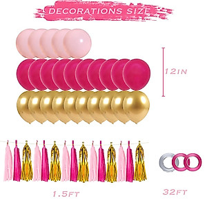 Hot Pink and Gold Birthday Party Decorations with Happy Birthday Banner, Tissue Pom Poms Flowers, Tassels Garland, Rose Red and Gold Balloons, Star Balloons for Women Girls Birthday Supplies