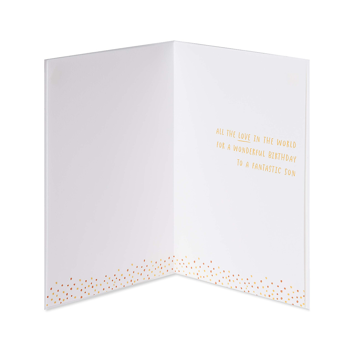 Papyrus Birthday Card for Son (All the Love In the World)