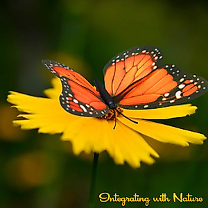 AQUEENLY Monarch Butterfly Decorations, 4.72'' Orange Premium Artificial Monarch Butterfly to Decorate for Craft, Home, Wall, Wedding, Party (12 Pcs)