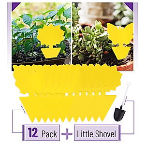 Sticky Fruit Fly Trap, 13 pcs, Fungus Gnat Sticky Trap with Shovel, Fly Traps for Indoors and Outdoor, Fruit Fly Killer, Gnat Sticky Traps for Plants, Fungus Gnat Killer