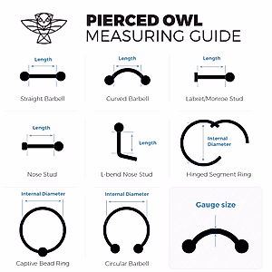 Pierced Owl 16GA Stainless Steel CZ Crystal Paved Crescent Moon Dangling Cartilage Tragus Barbell Stud (Silver Tone)