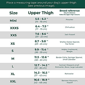 Ortocanis - Knee Brace for Dogs with Ligament Rupture and Patella Luxation, Size XXS, Left Leg