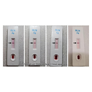 Dog Pregnancy Test at Home, 98% Accuracy, Painless to get Sample No Equipment Required Qucik Result at 5 Minutes Easy NO Mess