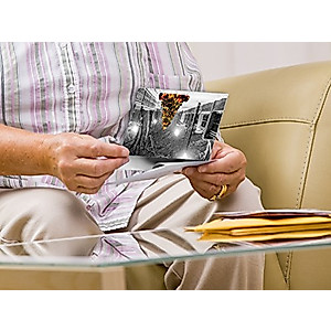 Christmas Cards, Holiday Cards - One Jade Lane - Lighted Tree in the Snow, 5x7, Heavy Stock, Set of 18 Cards & Envelopes, Seasons Greetings Cards.