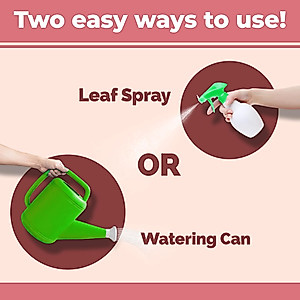 Christmas Cactus Fertilizer for All Christmas Cacti and Schlumbergera Cacti, Liquid Plant Food 8 oz (250mL)