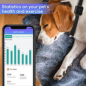 4G LTE GPS Tracker for Dogs, WiFi+GPS Dual Mode Positioning Waterproof & Magnetic Charging, Unlimited Range