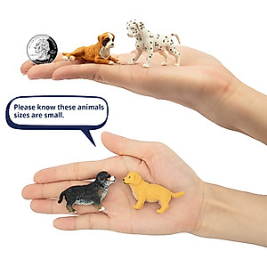 Toymany 12PCS Mini Dog Figurines Playset, Realistic Detailed Plastic Puppy Figures, Hand Painted Emulational Tiny Dogs Animals Toy Set, Cake Toppers Christmas Birthday Gift for Kids Toddlers