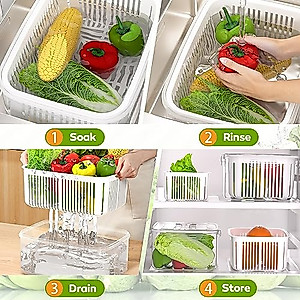 Fruit Storage Containers for Fridge - 10-Piece Kitchen Organizers Leak Proof Produce Saver and Veggie Storage Bins Set for Refrigerator, Plastic Airtight Food Storage Containers with Lids & Handle