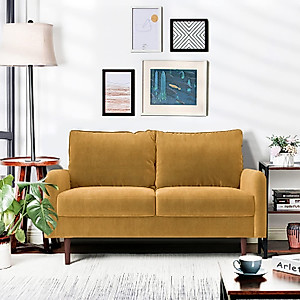 WANSE 56 inch Velvet Loveseat Sofa,Ginger Velvet Couch for Living Room, Couch with Solid Wood Frame, Easy Assembly, Couches for Living Room, Guest Room, Teenager's Room, and Small Apartment