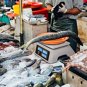 BROMECH Food Scale, Price Computing Scale, IPX7 Waterproof, 66lbs Capacity, White Backlight LCD, Rechargeable Commercial Meat Produce Weight Scale for Farmers Market and Seafood