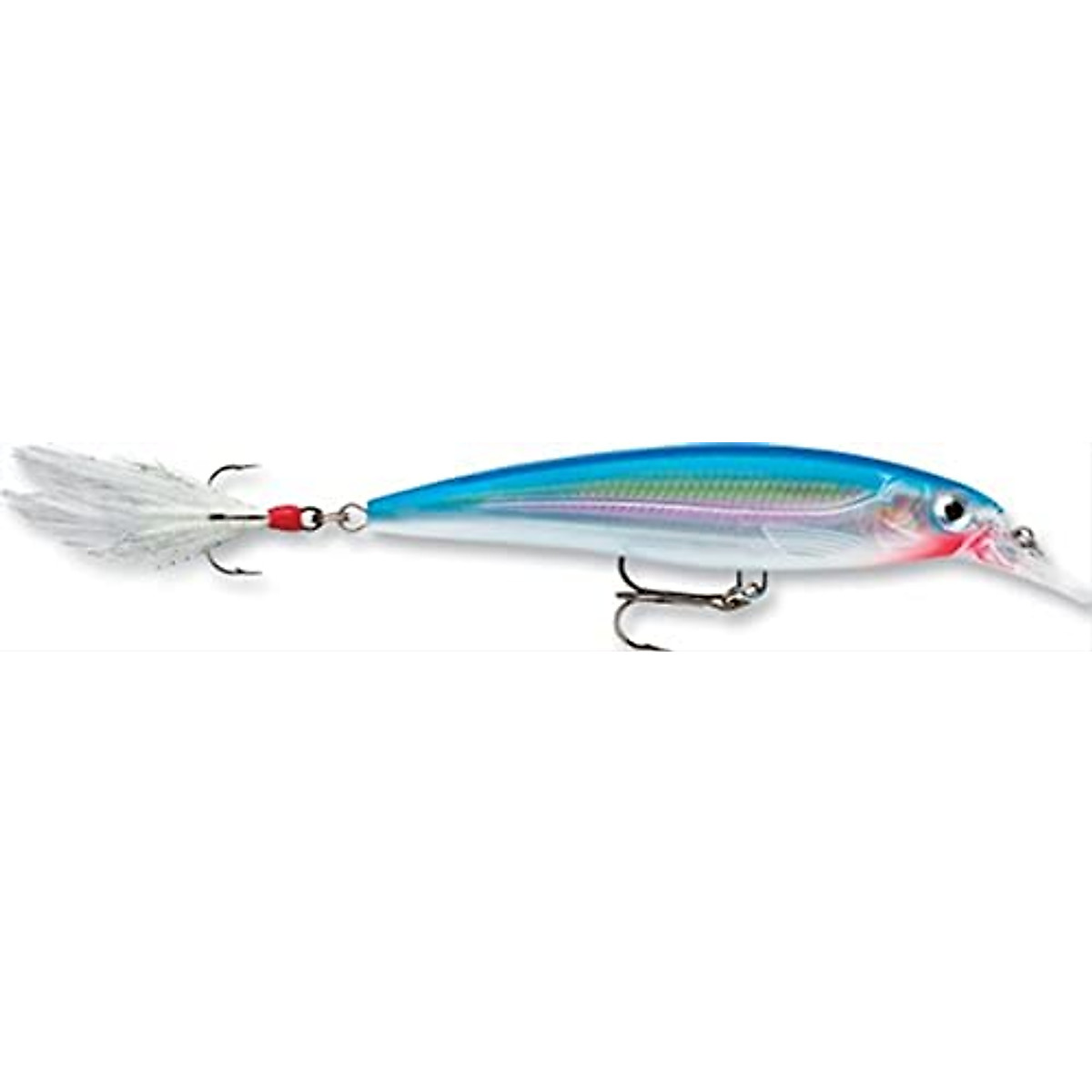 Rapala X-Rap Jerkbait 10 Fishing lure (Silver Blue, Size- 4)
