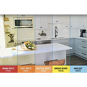 FEIT ELECTRIC A450/850/10KLED/4 4-Pack 40W Equivalent 5.5 Watt Non-Dimmable A19 LED Light Bulbs, 4.4" H x 2.35" D, 5000K Daylight, 4 Piece