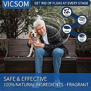 4 Pack Flea Collar for Dogs, Dog Flea and Tick Collar 8 Months Flea and Tick Prevention for Dog, Waterproof Adjustable Puppy Collar Natural Tick and Flea Collars for Small Medium Large Dogs,Blue