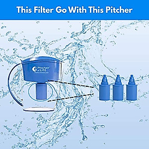 Pitcher of Life Alkaline Water Pitcher Replacement Filters - 3 Pack