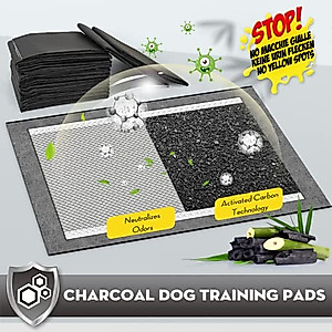 CROCI XXL 30"x36" Charcoal Pads for Dogs, Odor-Control Carbon Pee Pads for Dogs Absorbs Up to 10 Cups of Liquid, 6-Layer Leak-Proof & Quick Dry Dog Training Pads, Disposable (35 Counts)