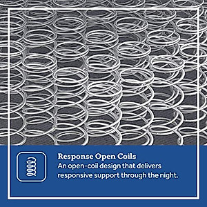 Sealy Essentials Spring Summer Elm Firm Feel Mattress, Full