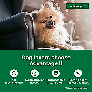 Advantage II Small Dog Vet-Recommended Flea Treatment & Prevention | Dogs 3-10 lbs. | 6-Month Supply
