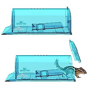 Large Humane Rat Traps, Set of 2, Catch and Release Chipmunks Into The Wild, Cruelty Free, Live Capture Plank Trap, Smart No Kill Rodent House Cage, A Friendly Pest Control Solution