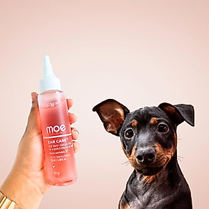 Moe Puppy Moe Ear Care Plus Ear Cleaning Solution for Pets| for Dogs and Cats (100 ml) (Pack of 1, Pink)