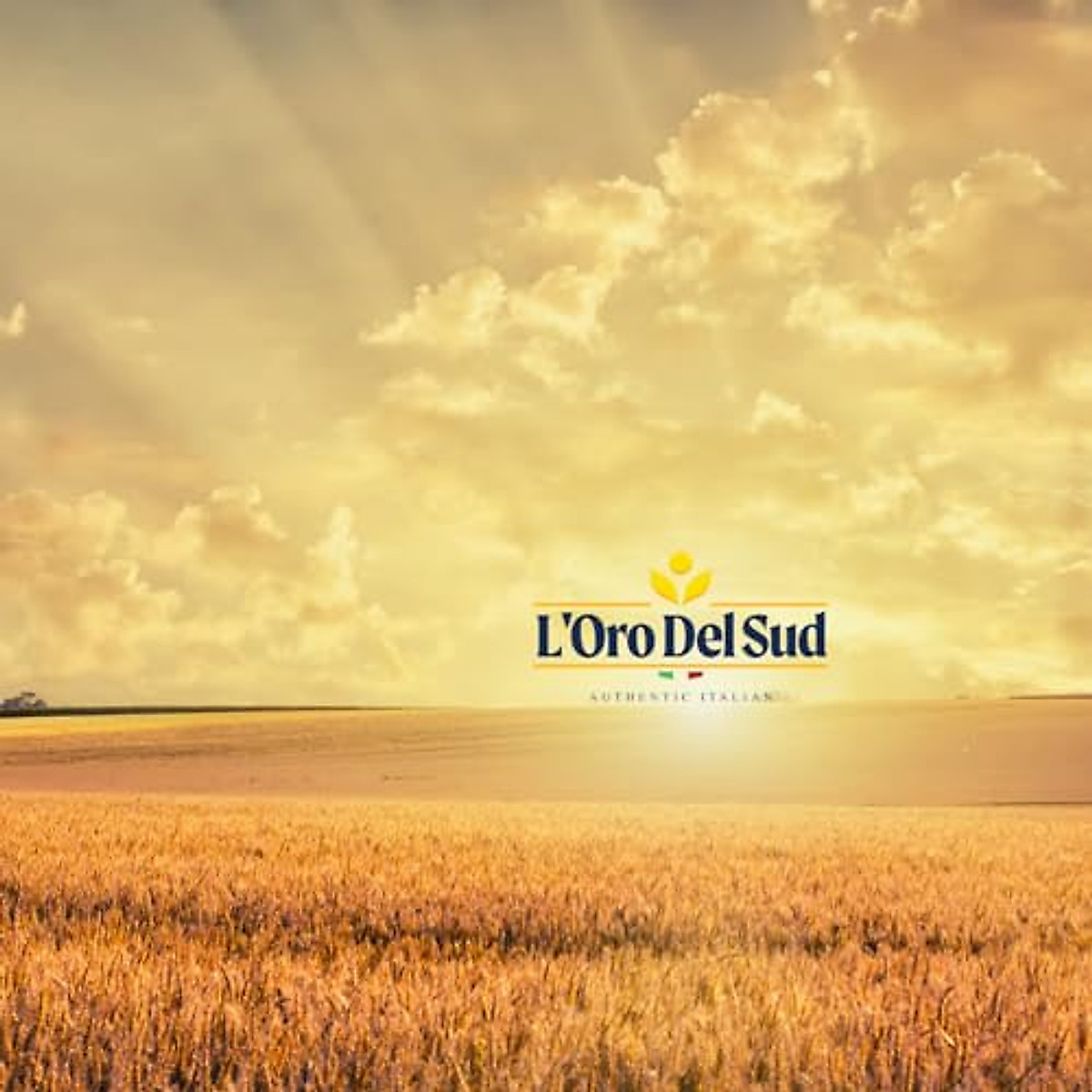 Organic Ditalini Pasta, 4 pack, 100% Durum Wheat, Ditali Italian Pasta, Tubetti Premium Quality Product of Italy 16 Ounce (4 Pack) by L'Oro del Sud.