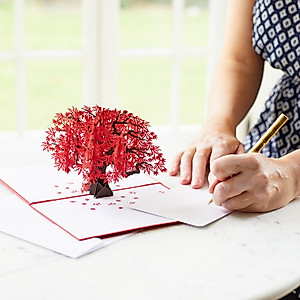 Lovepop Everyday Pop-Up Card for Her and Him- 3D Thinking of You Greeting Cards for Boys, Girls, Men, Women - 5" x 7" Maple Tree - Blank Note Card & Envelope Included