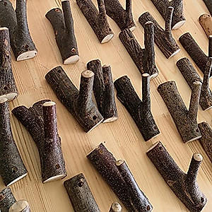 Tsnamay 8Pcs Real Wood Tree Branch Wall Hook, Farmhouse Rustic Decorative Wooden with Bark Trunk Thickness 2cm-3cm with Screw