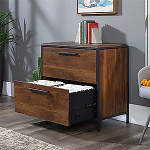 Sauder Nova Loft 2-Drawer Lateral File Cabinet in Grand Walnut, Grand Walnut Finish