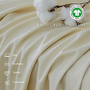 Simple&Opulence Kids 100% Organic Cotton Duvet Cover Ruffle- 3 Pcs (1 Comforter Cover 2 Pillowcases) Lace Shabby Chic High End Boho Floral Frill Bedding Set(Peach Pink,Queen)