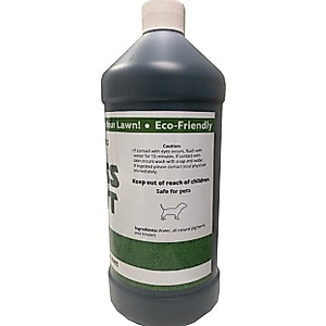 EcoColorants Green Grass Paint 32 oz(Quart)-Eco-Friendly , Made in the USA, Lawn Colorant, Turf Paint, Dye, Covers up to 1,000 square feet, Spray, (GGP1Q)