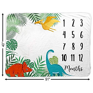 Baby Monthly Milestone Blanket | Includes Frame for The Numbers and Bonus Product | 1 to 12 Months | Premium Extra Soft Fleece | Best Photography Backdrop Prop for Newborn Boy & Girl