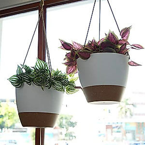 SwinDuck 10 Inch Self Watering Hanging Pots, 2 Pack Hanging Planters with 40oZ Deep Reservior for Indoor Outdoor Plants Flowers, White with Brown