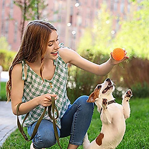 Rachael Ray Nutrish Little Bites Dry Dog Food, Chicken & Veggies Recipe for Small Breeds, 14 Pounds