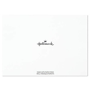 Hallmark Thank You Cards, Gold and White Bulk (40 Thank You Notes with Envelopes for Graduation, Business, Weddings, All Occasion)