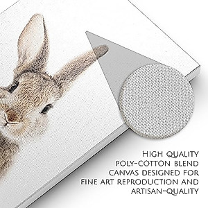 Set of Baby Animals | Safari Jungle Animal Pictures | Quality 11" x 14" Prints on 1.5" Thick Gallery Wrapped Canvas For Nursery Kids Room | Ready to Hang (4 Pack Baby Animal, 11" x 14")