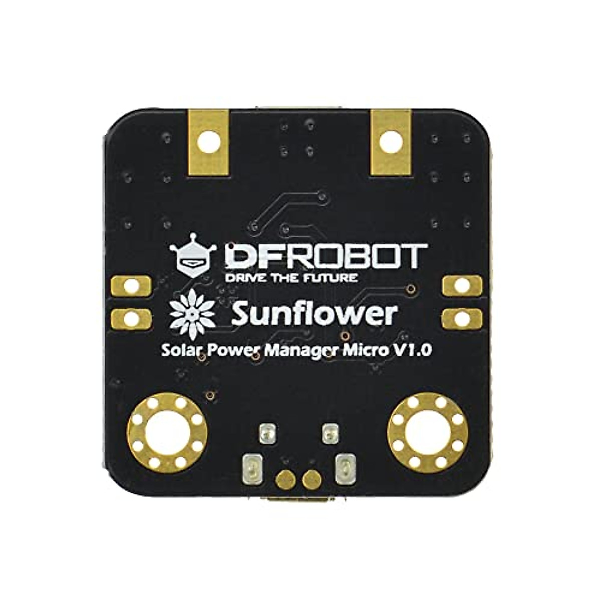 Solar Power Manager Micro (2V 160mA Solar Panel Included)