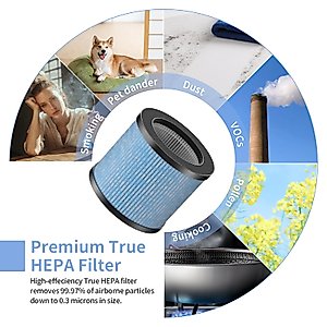 GoKBNY TPAP002 True HEPA Replacement Filter, Compatible with TOPPIN TPAP002 HEPA Purifier Comfy Air C1, Part# TPFF002, 4-IN-1 Filters（2-Pack）