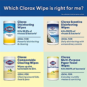 Clorox Disinfecting Wipes, Bleach Free Cleaning Wipes, 75 Wipes, Pack of 3, Fresh Scent (Package May Vary)